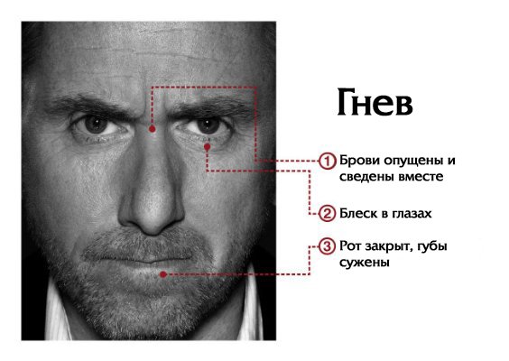 Пол Экман. Психология лжи. Купить полиграф, детектор лжи, обучение ...